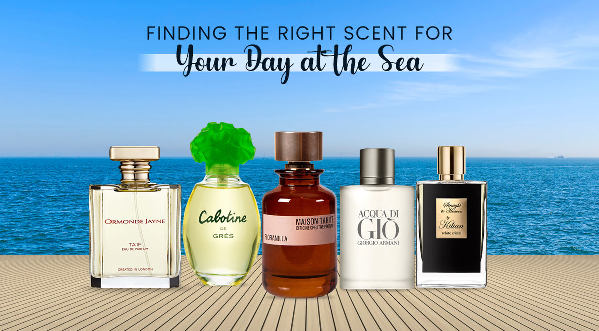 Captivating Coastal Scents: Unveiling the Best Beach Perfumes for a ...